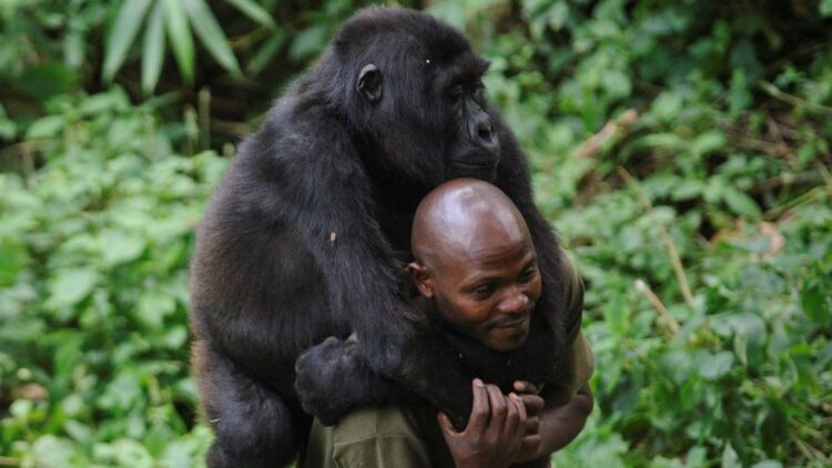9 Nature Documentaries on Netflix that will Make You Feel Like You’ve ...