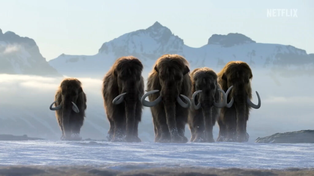 9 Nature Documentaries on Netflix that will Make You Feel Like You’ve ...