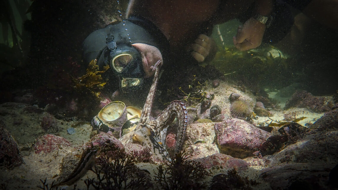 9 Nature Documentaries on Netflix that will Make You Feel Like You’ve ...
