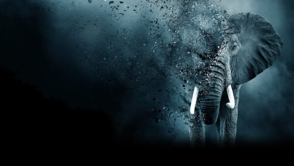 15 Unmissable Netflix Documentaries That Will Ignite Your Environmental ...