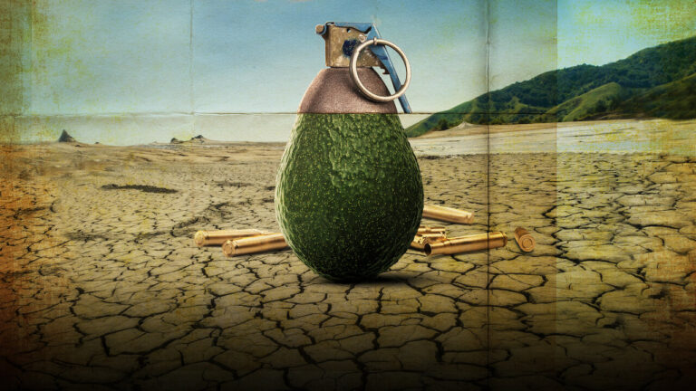 15 Unmissable Netflix Documentaries That Will Ignite Your Environmental ...