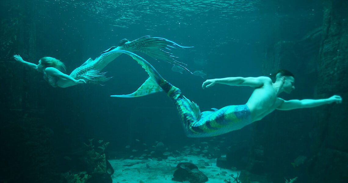 10 Unstoppable Interactive Netflix Titles You Must Experience Right Now ...