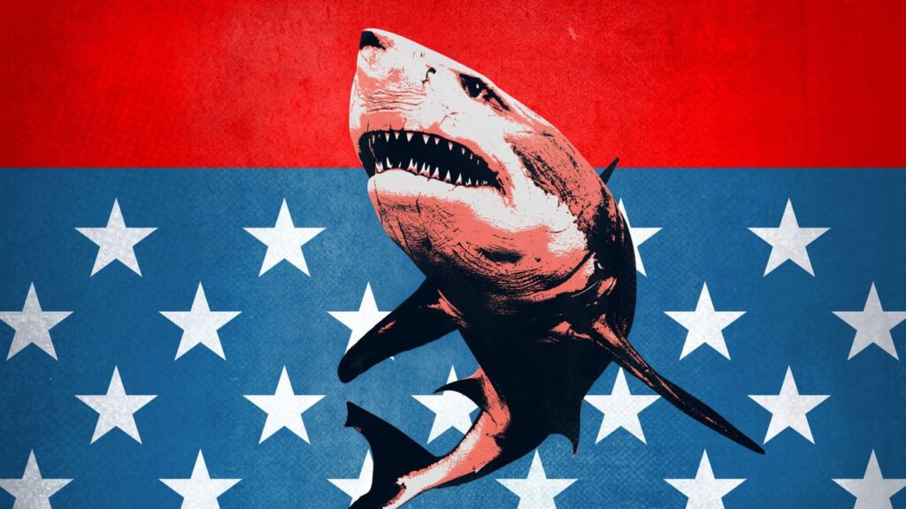 13 Jaw-Dropping Shark Films and Series on Netflix You Can't Miss - New ...