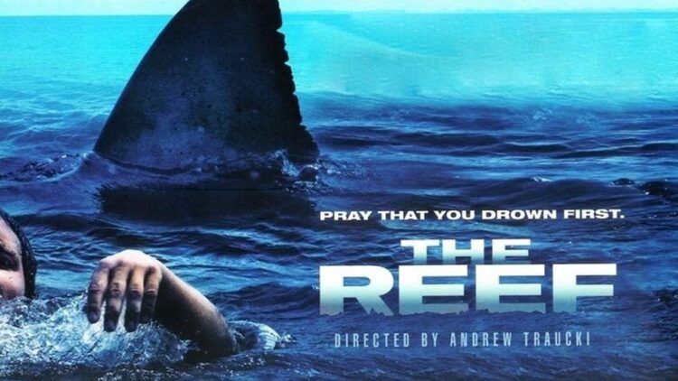 13 Jaw-Dropping Shark Films and Series on Netflix You Can't Miss - New ...