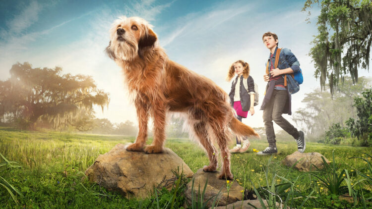 10 Heartwarming Netflix Shows and Films About Dogs That Will Melt Your ...