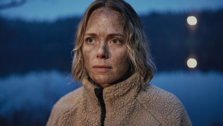 Beyond the Fjords: 10 Unexpected Netflix-Only Scandinavian Films! - New ...